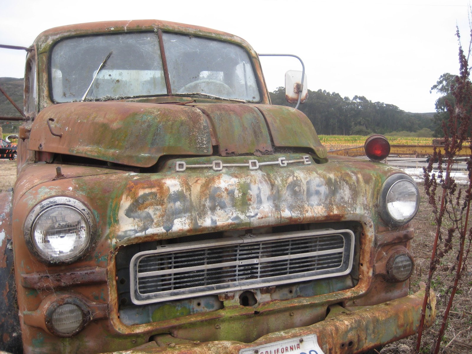 “Into the Wild” by Jon Krakauer - Alexander Supertramp - The Real Deal ...